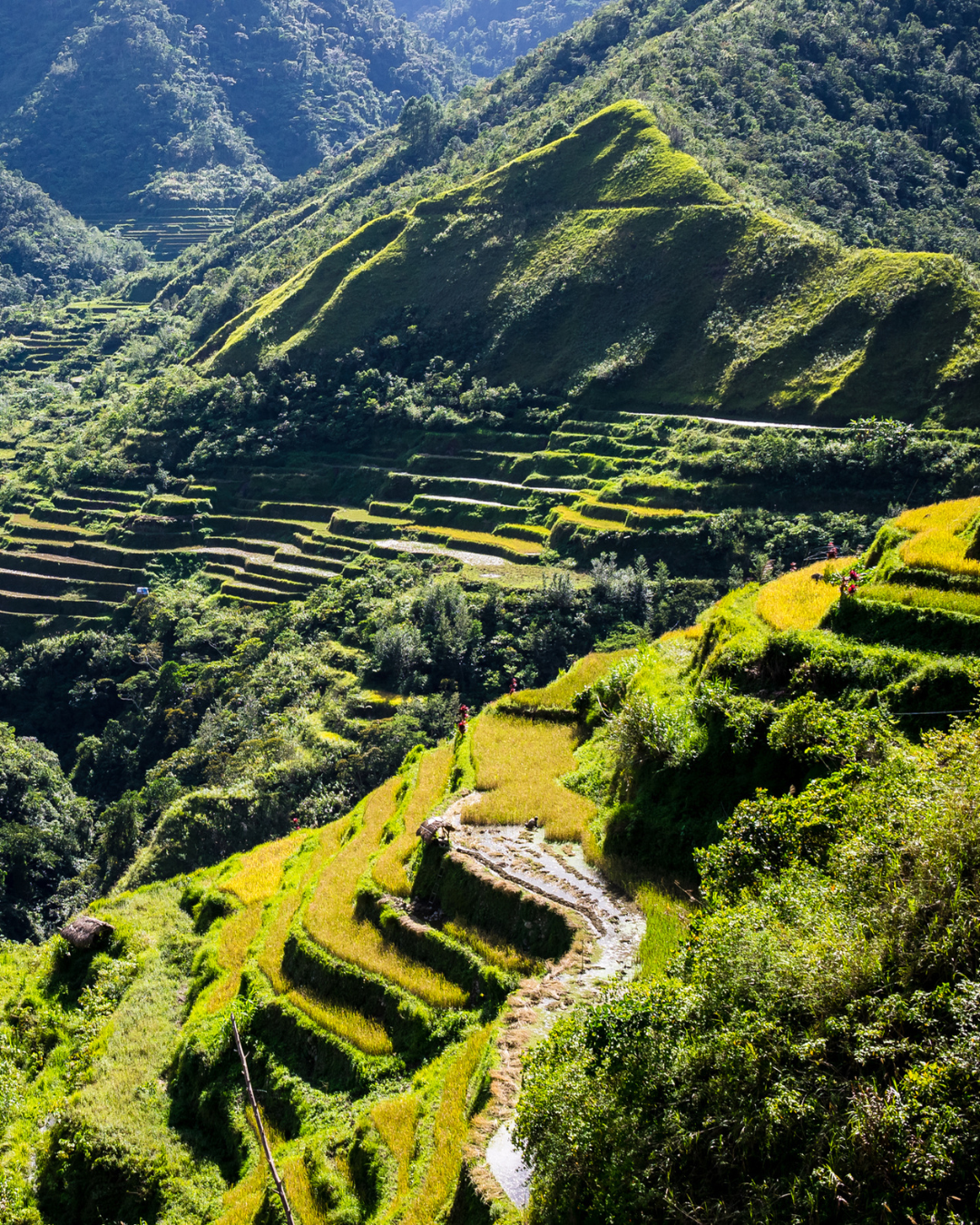 10 Breathtaking Natural Wonders in Asia - Asia Travel Guide