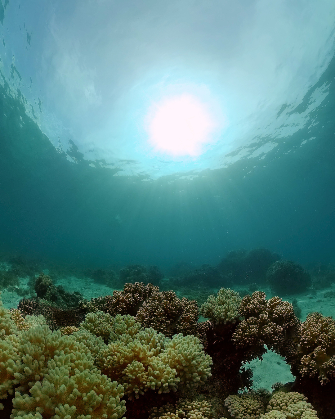 8 Best Beaches in Asia for Snorkeling and Diving - Asia Travel Guide